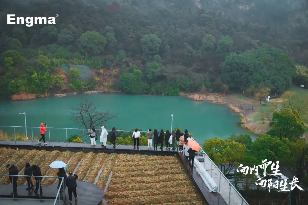 Engma英格玛集团